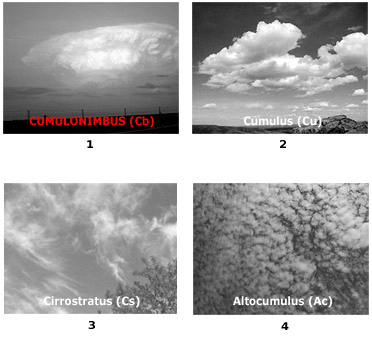 Questions et corrigés BAPD gratuit